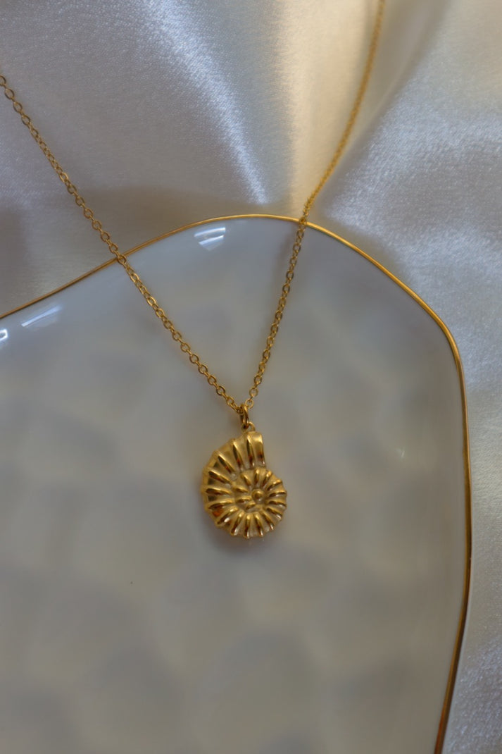 Shell Necklace – Farfalla Evolution