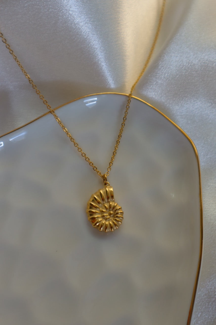 Shell Necklace – Farfalla Evolution